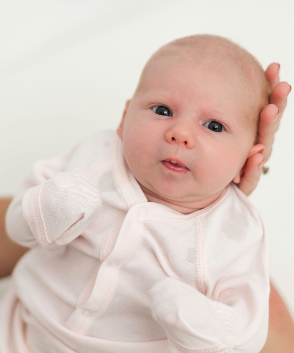 Baby Search
